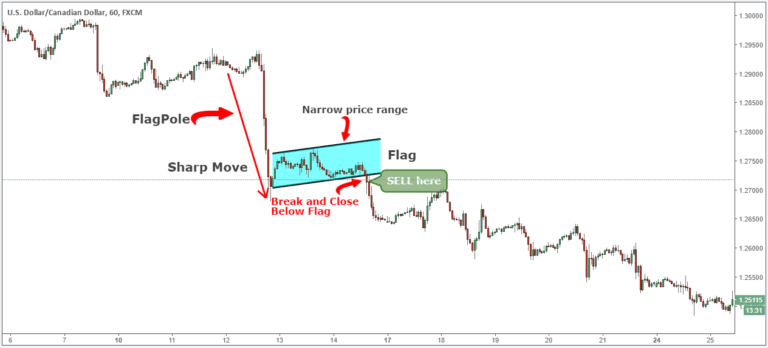 Bear Flag Explained In Simple Terms (5 Step How-To Guide)