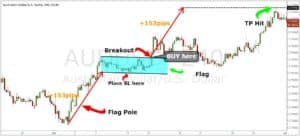 Bear Flag Explained In Simple Terms (5 Step How-To Guide)